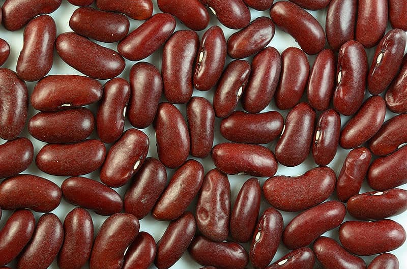 10 Foods that Nourish Jing Energy | Lost Empire Herbs