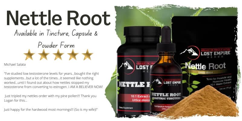 Nettle Root Infographic